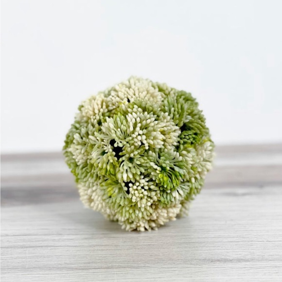 Boutique | Accents | 4 Light Green Sedum Ball | Poshmark